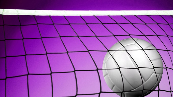 Tổng hợp 999 Purple volleyball background Chất lượng cao, tải miễn phí